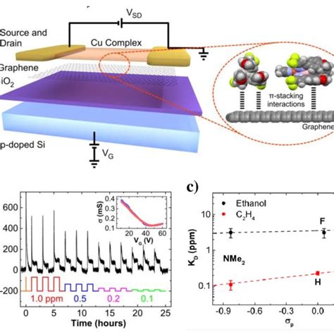 Xiaoyan Zhang Principal Investigator Professor Research Profile