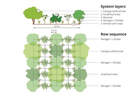 Biodiversity Benefits Of Agroforestry Systems