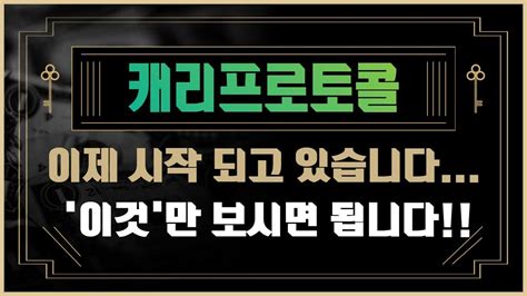 캐리프로토콜 이제 시작 되고 있습니다 이것만 보시면 됩니다 Youtube
