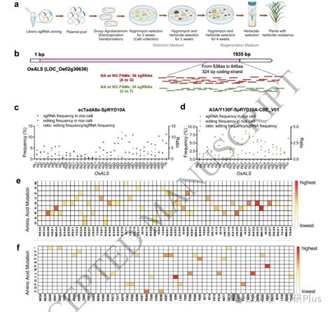 敲除、激活、碱基编辑全场景覆盖！马里兰大学戚益平团队开发包含61个载体的综合植物crispr工具箱！助力大规模筛选！｜pc 知乎