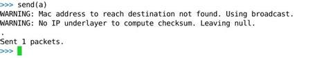 Packet Crafting Using Powerful Tool Scapy Secorigin Technologies