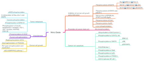 The No Induced Phosphorylation Pathway Influences The Tumor Development Download Scientific