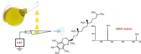 اسیدهای چرب طبیعی روغن زیتون چیست؟ روغن زیتون خرید روغن زیتون