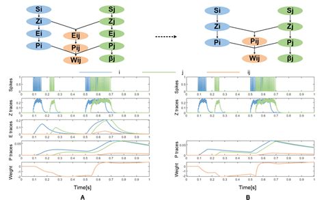 Figure 1 From Mapping The Bcpnn Learning Rule To A Memristor Model Semantic Scholar