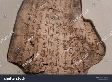 Oracle Bone Script