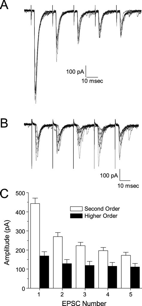 Fdd Of Monosynaptic And Polysynaptic St Inputs To Nts Ca Neurons