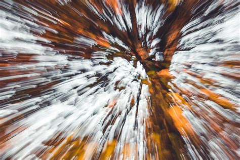 Icm Effect Tree Free Photo On Pixabay