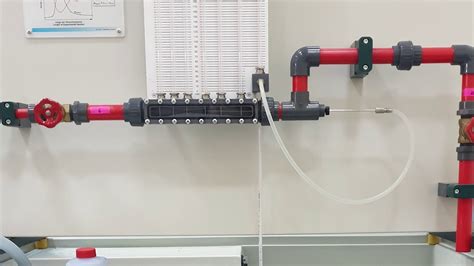 Bernoulli Experiment Examples At William Deas Blog