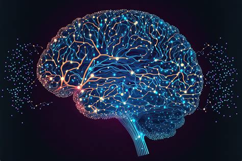Brain Mapping Xbody Health Wellness And Spa Nj