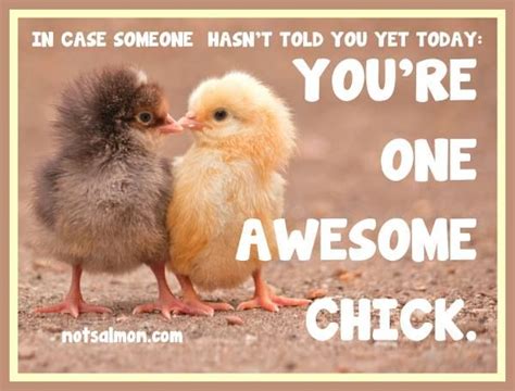 Chicks Fly Chick Funny Qoutes Awesome