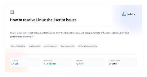 How To Resolve Linux Shell Script Issues Labex