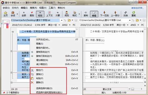 Beyond Compare（文件对比工具）使用技巧beyond Compare怎么查看相似比例 Csdn博客