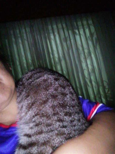 ชลิดา กิตติขจร ชลิดา กิตติขจร Added A New Photo