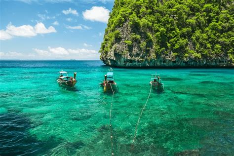 Blue Ragoon 2개가 넘는 로열티 프리 라이선스 대상 스톡 사진 Shutterstock