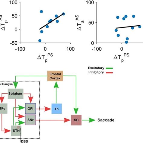 The Basal Ganglia Circuits Modulated By Deep Brain Stimulation Dbs