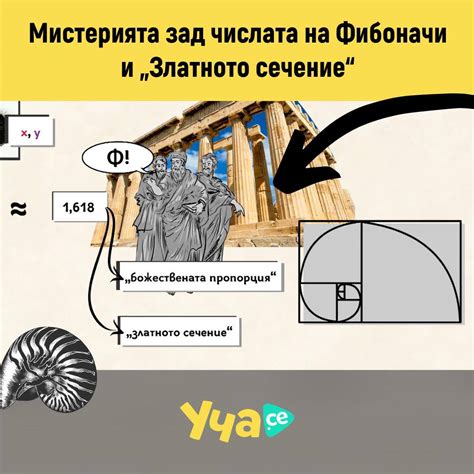 Мистерията зад числата на Фибоначи и „Златното сечение“ На 23 ноември се отбелязва Деня на