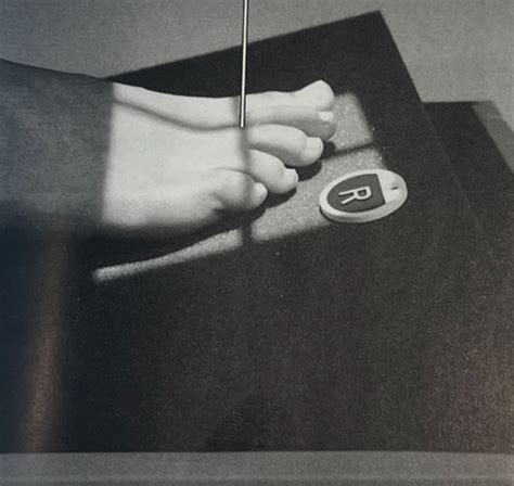 LOWER LIMB AND PELVIS Flashcards Quizlet