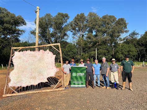 Senarsc Promove Aproximadamente 430 Cursos Gratuitos Em Julho
