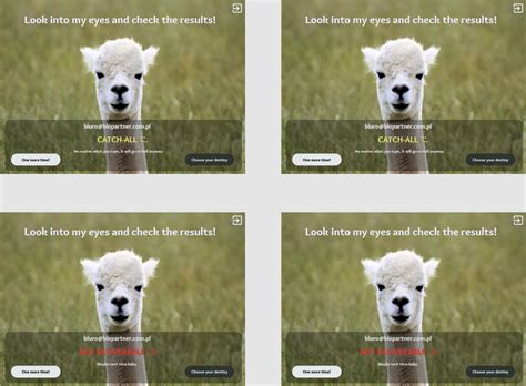 Github Adzia21verify