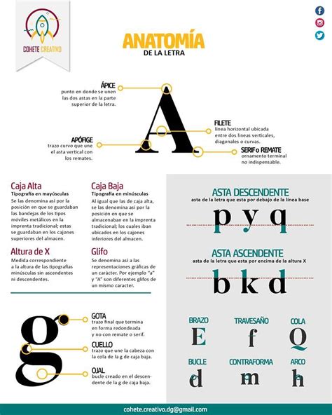 Anatomía De La Tipografía Tipos De Tipografia Anatomia Tipografica