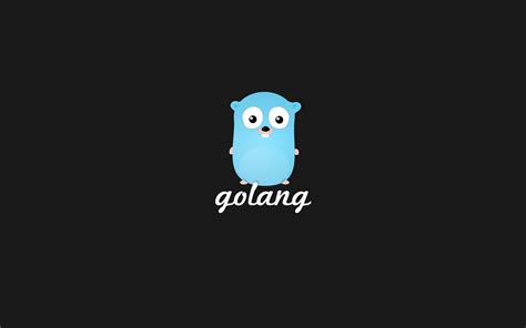 Golang Wallpapers Top Free Golang Backgrounds WallpaperAccess