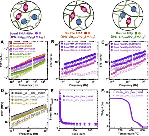 Dynamic Polymer Nanocomposites Towards Strain Sensors And Customizable