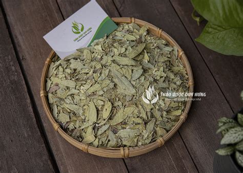 Các Bài Thuốc Thảo Dược Kết Hợp Với Phan Tả Diệp