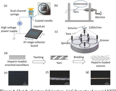 Figure 4 From Near Field Electrospinning And Melt Electrowriting Of Biomedical Polymers—progress