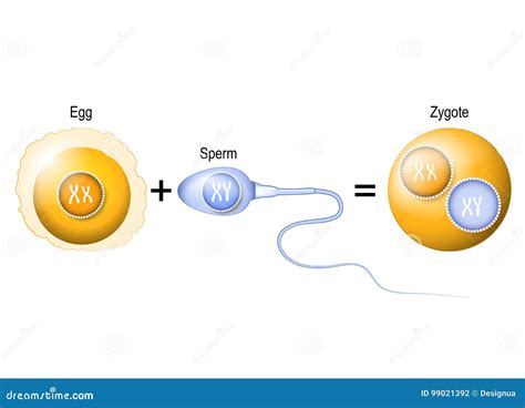 Haploid Cartoons Illustrations And Vector Stock Images 115 Pictures To