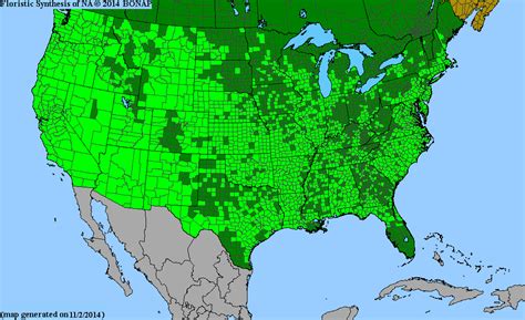 2013 Bonap North American Plant Atlas Taxonmaps