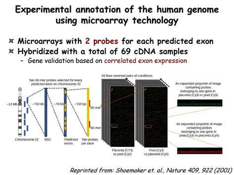 Genome Biology And Biotechnology Ppt Download