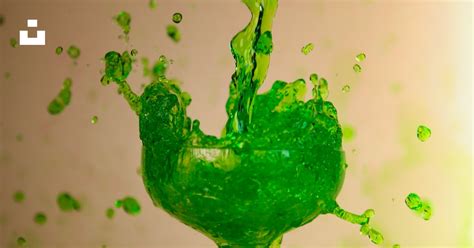 물방울이있는 녹색 식물 사진 Unsplash의 무료 물방울 이미지