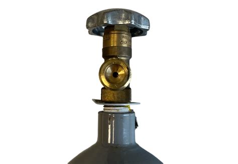 Hinnengas Koolzuur C02 Gascilinder 10 Kg Hinnen