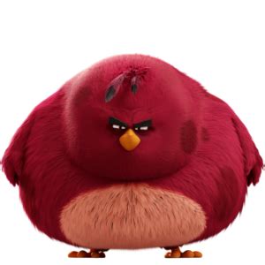 Red Angry Birds