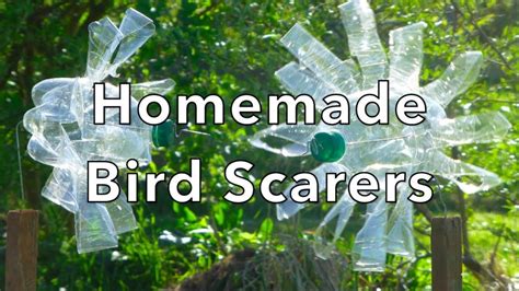 Homemade Bird Nest Deterrent At Bill Eley Blog
