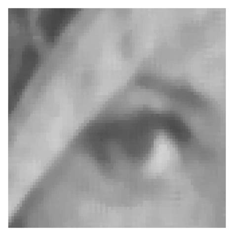 Denoising Results Using A Fragment Of Lena Image A Ground Truth B Download Scientific