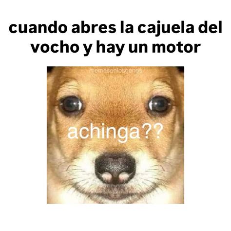 Memes Del Vocho Conoce Al Creador Del Vocho Araña 🕷 El Sol De