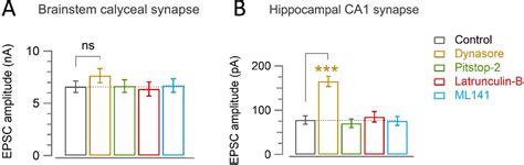 Figures And Data In Physiological Roles Of Endocytosis And Presynaptic Scaffold In Vesicle