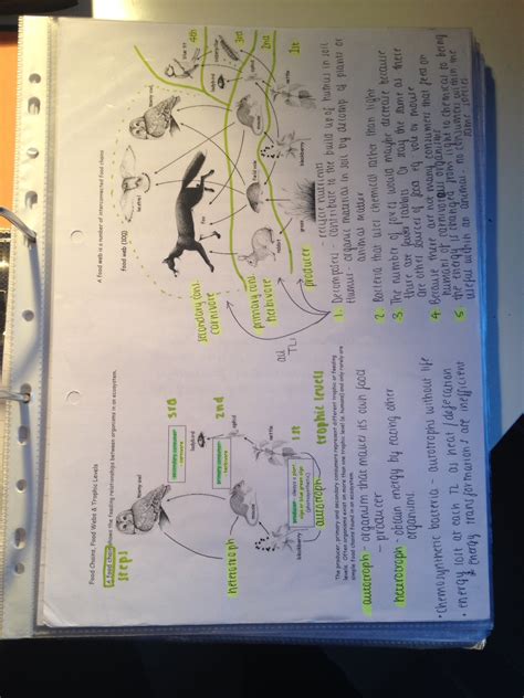 Ess Notes Topic 2 Ibrevisionblog