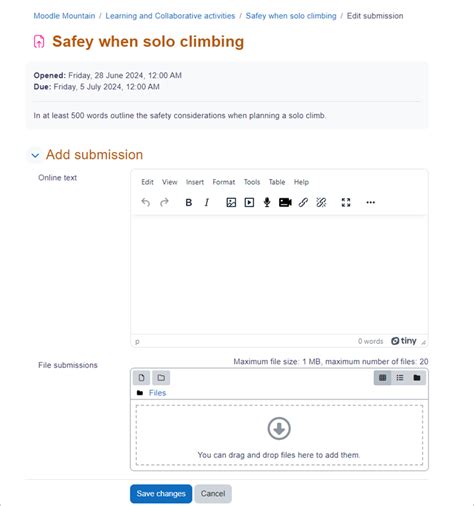 assignment activity moodledocs