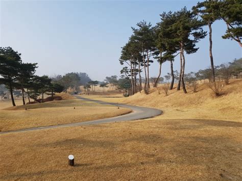 비에이비스타cc 호박 보나 코스 골프 라운딩 후기 네이버 블로그