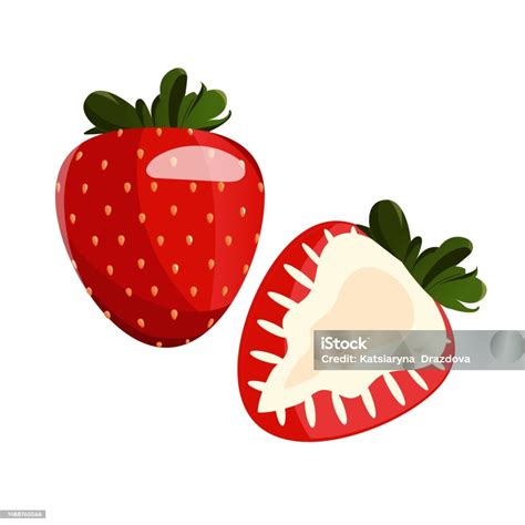 전체 딸기와 얇게 썬 반 딸기 하얀 바탕에 신선한 빨간 익은 부드러운 베리 벡터 그림 0명에 대한 스톡 벡터 아트 및 기타