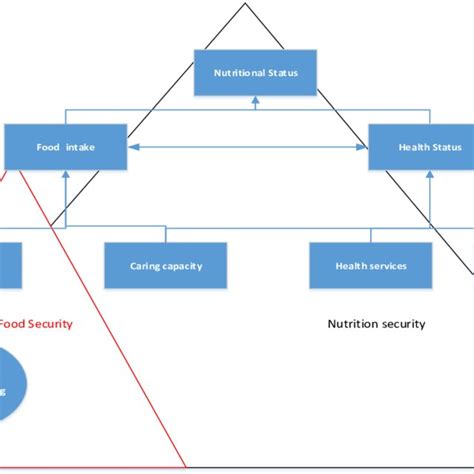 Conceptual Framework Of The Nutritional Status At Household Level
