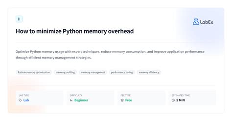 How To Minimize Python Memory Overhead Labex
