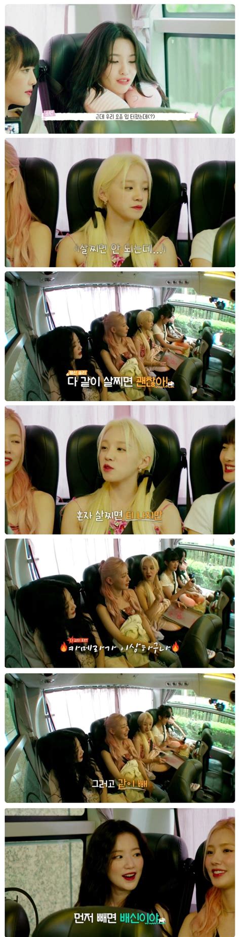 여자아이돌 사이에서 중요하다는 것 유머 움짤 이슈 에펨코리아