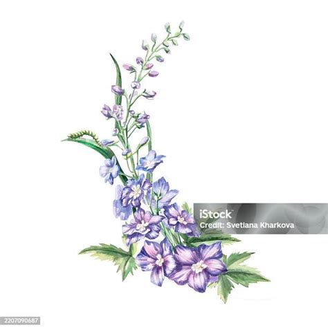 Dilphinium 꽃 애벌레와 곡선 구성 섬유 디자인 직물과 옷에 인쇄 포스터를 위한 사실적인 스타일의 꽃의 고립된 수채화 그림 결혼식에 대한 스톡 벡터 아트 및 기타