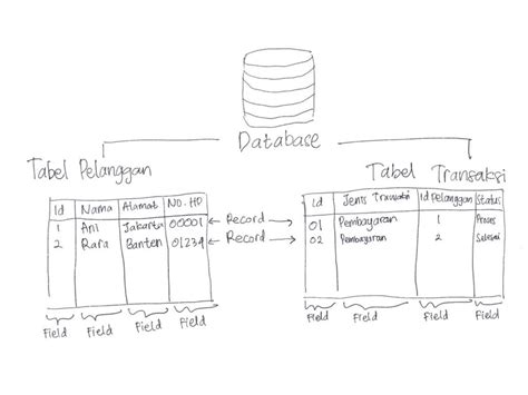 Database Adalah Fungsi Jenis And Komponennya