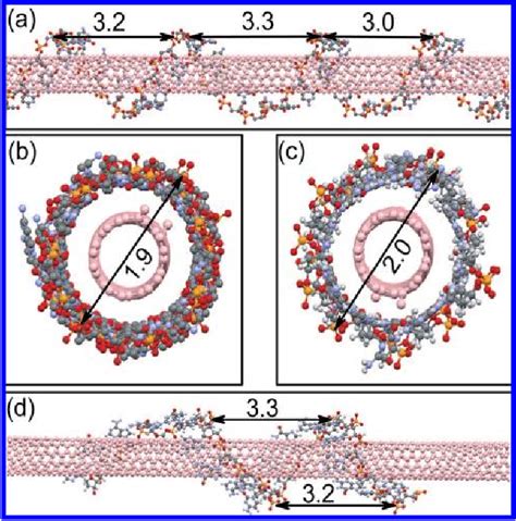 Figure 4 From Scanning Tunneling Microscopy Of Dna Wrapped Carbon