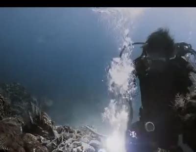 Gudang Garam MLMODEL ASIA