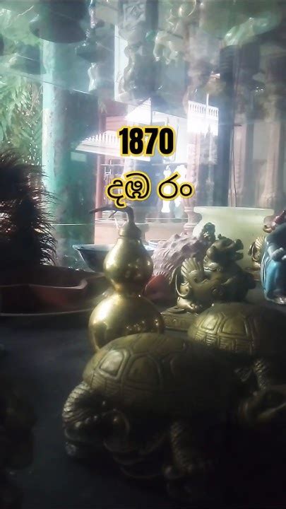 දඹ රං දැකල නැනෙ 😳😳😳 Youtube